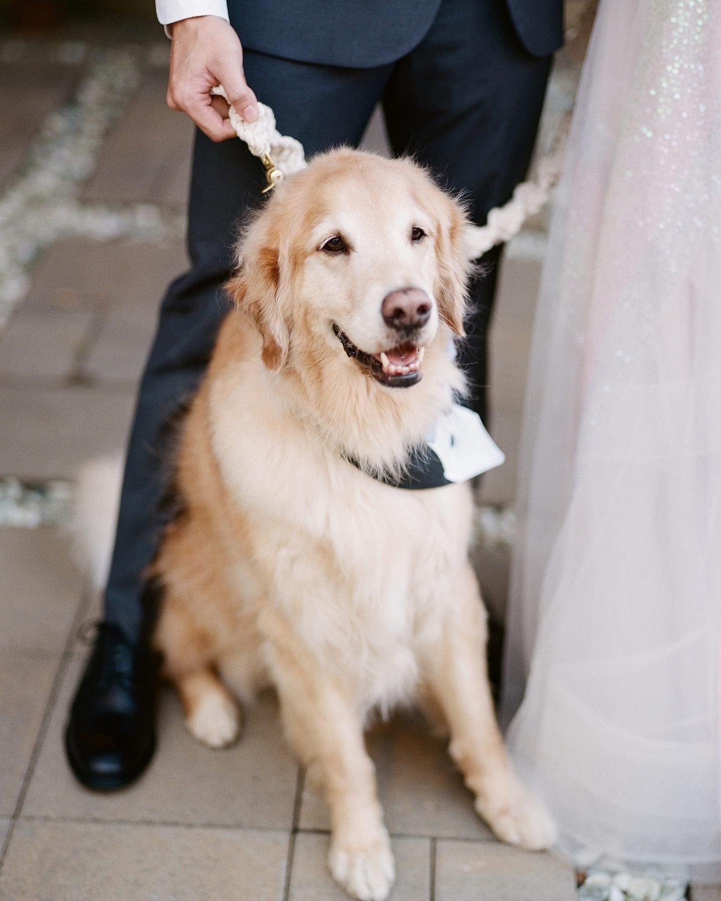 Alyssa + Johnny – Doheny NYC